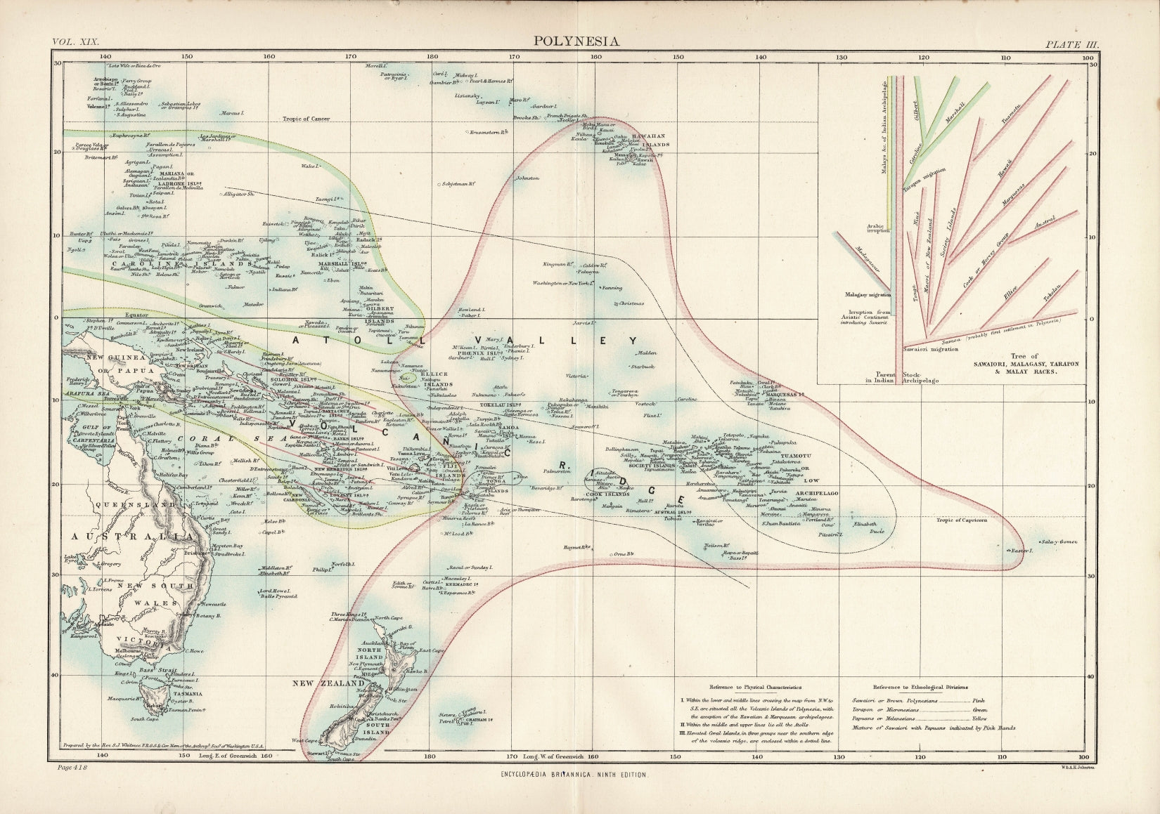 Polynesia Encyclopaedia Britannica antique map 1889 – Maps and Antique ...