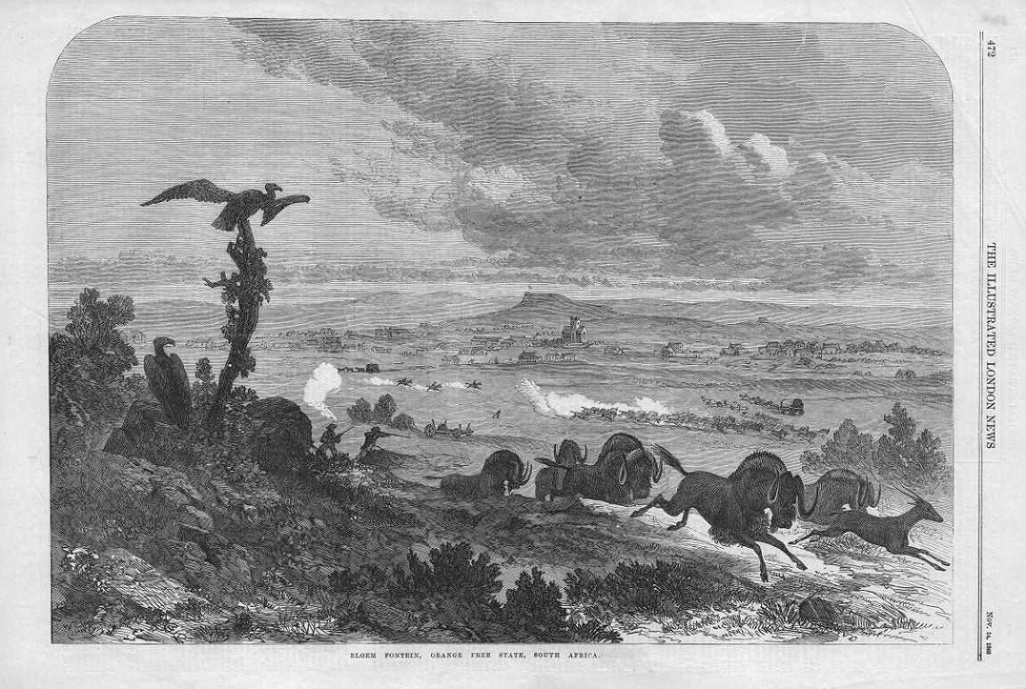 Bloemfontein Orange Free State South Africa antique print 1868 – Maps ...