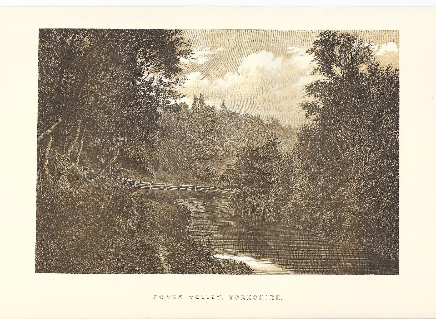 Forge Valley Yorkshire antique print 1895 – Maps and Antique Prints
