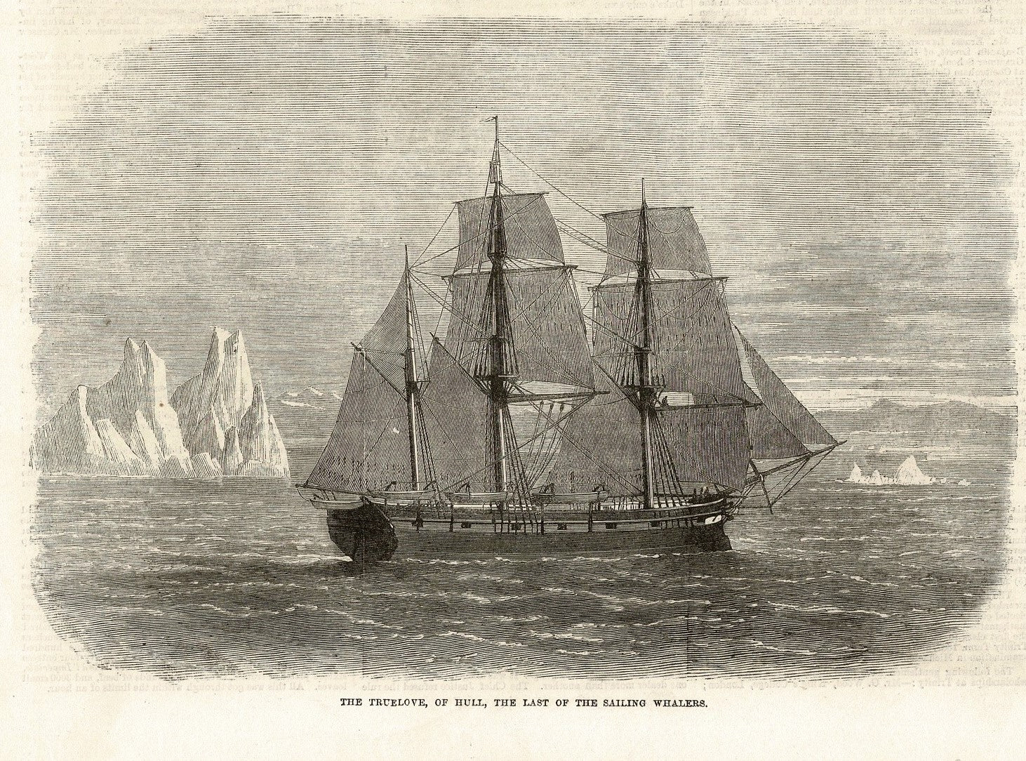 Hull Whaling Ship Truelove the last Sailing Whaler antique print 1870 ...