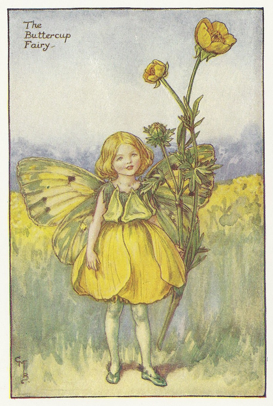 Buttercup Flower Fairy vintage print – Maps and Antique Prints