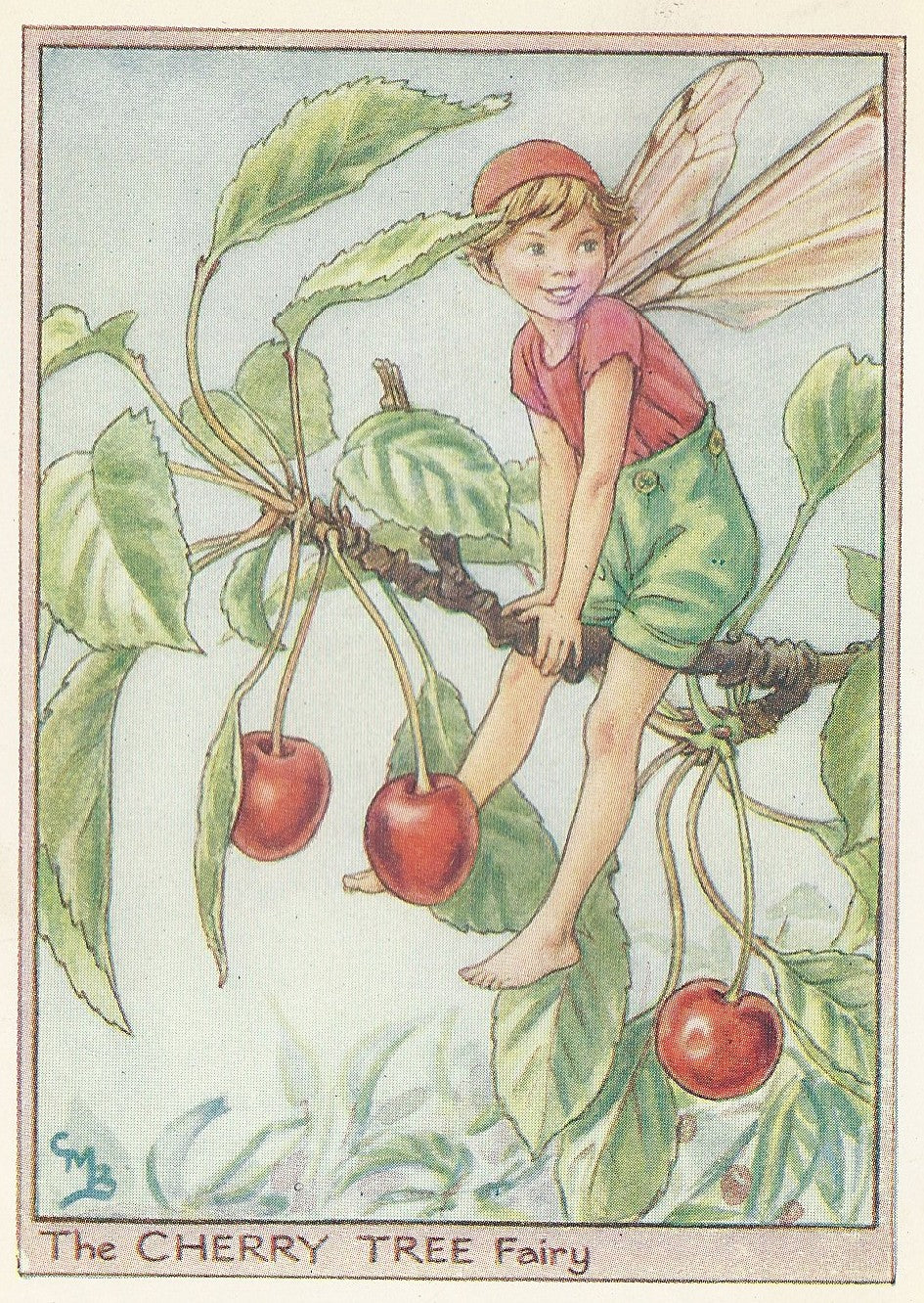 Cherry Tree Flower Fairy vintage print – Maps and Antique Prints